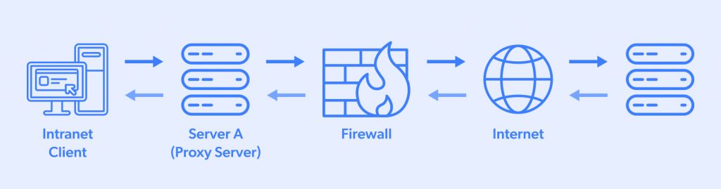 Forward vs. Reverse Proxy: Differences & Use Cases