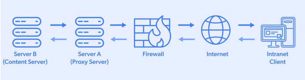 Forward vs. Reverse Proxy: Differences & Use Cases