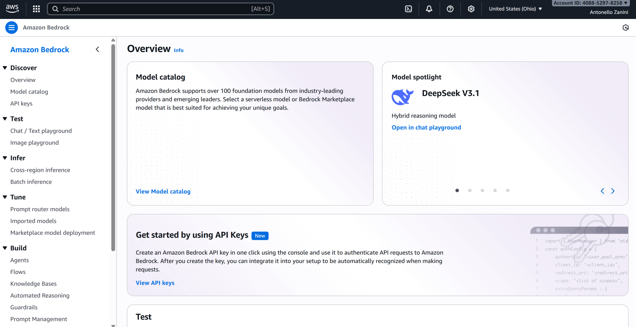 Build an AWS Bedrock Agent in Python with SERP API